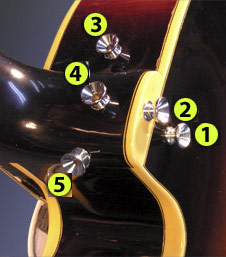 Acoustic Guitar Strap Button Position | Guitar